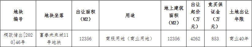 桐庐县桐政储出 2020 46号国有建设用地使用权出让公告 好地网